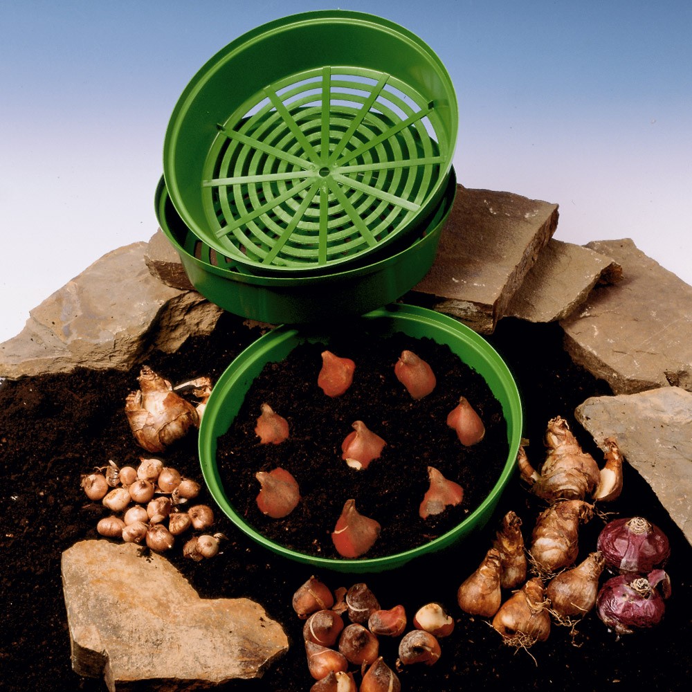 Coș pentru plantat bulbi, rotund (3 buc) | Accesorii | Accesorii ...